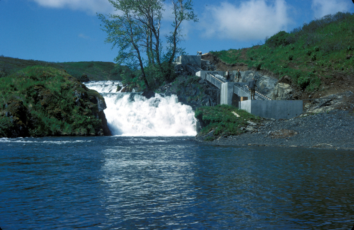 Frazer Lake Fish Ladder and Falls | FWS.gov