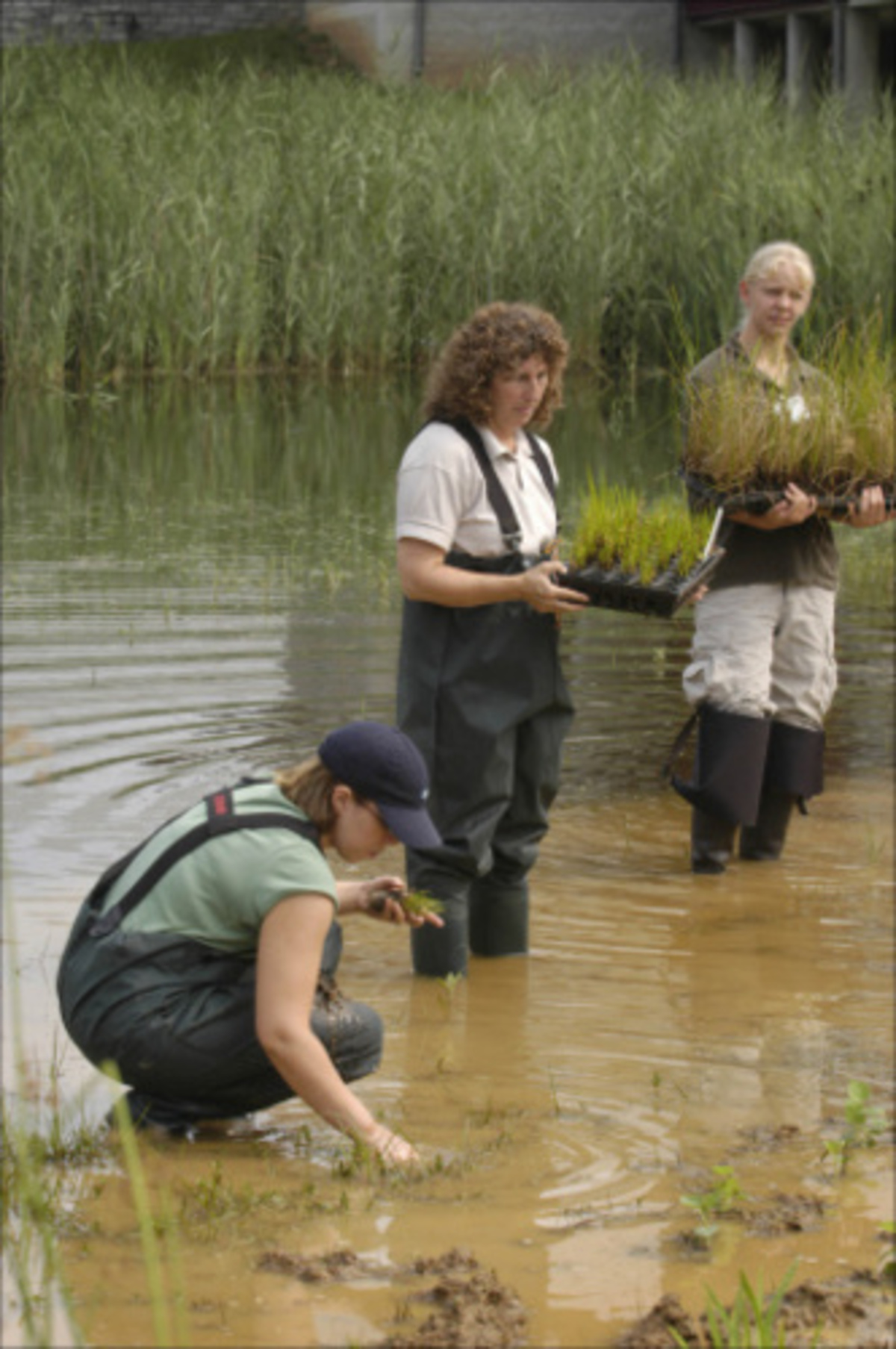 People in water during WOW Workshop at the National Conservation ...