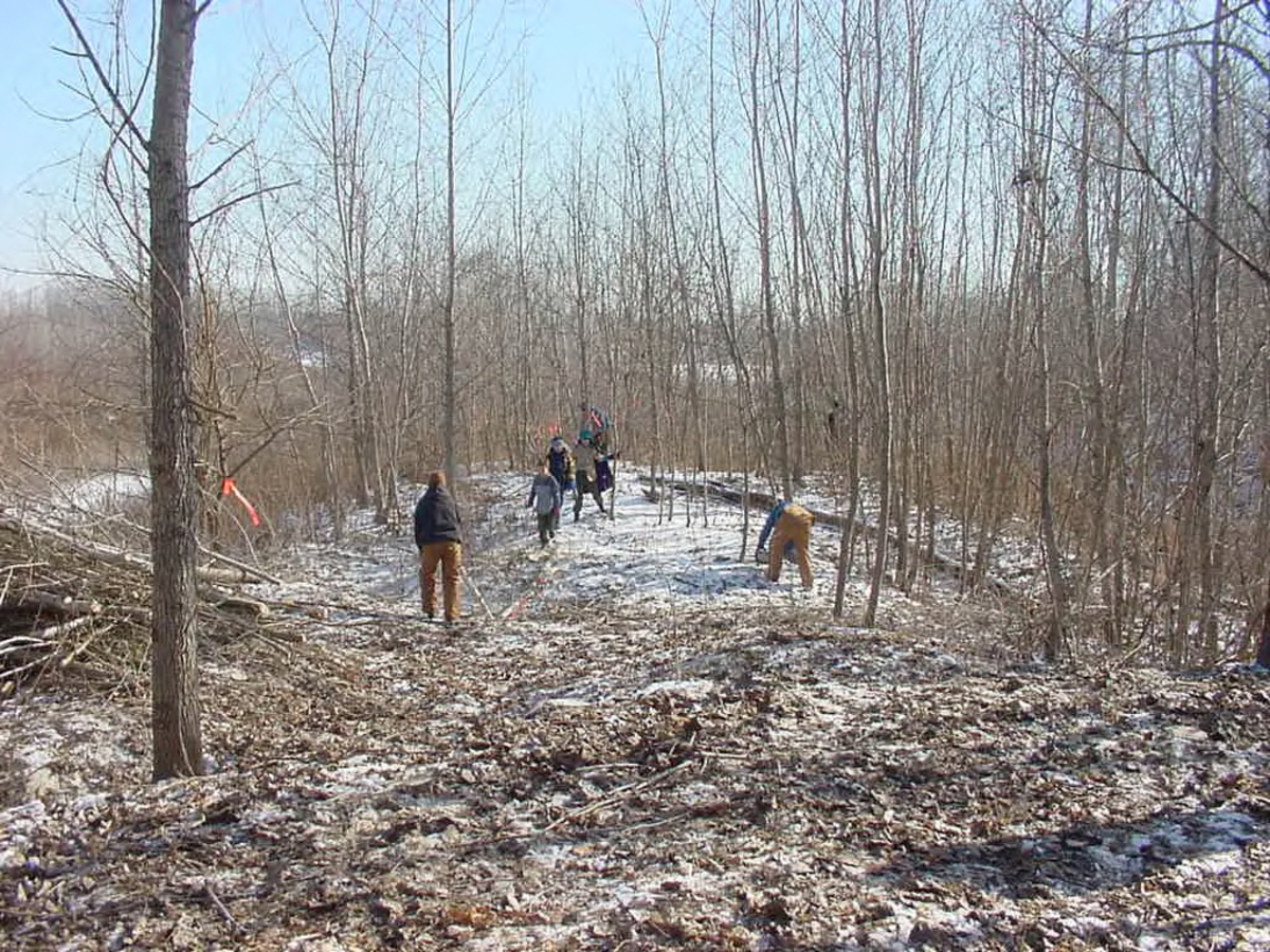 Boy scouts work day | FWS.gov