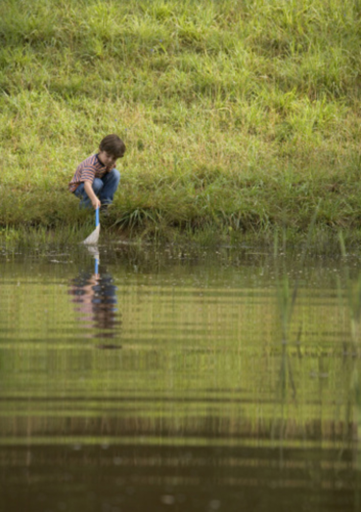 Child with net catching aquatic life | FWS.gov