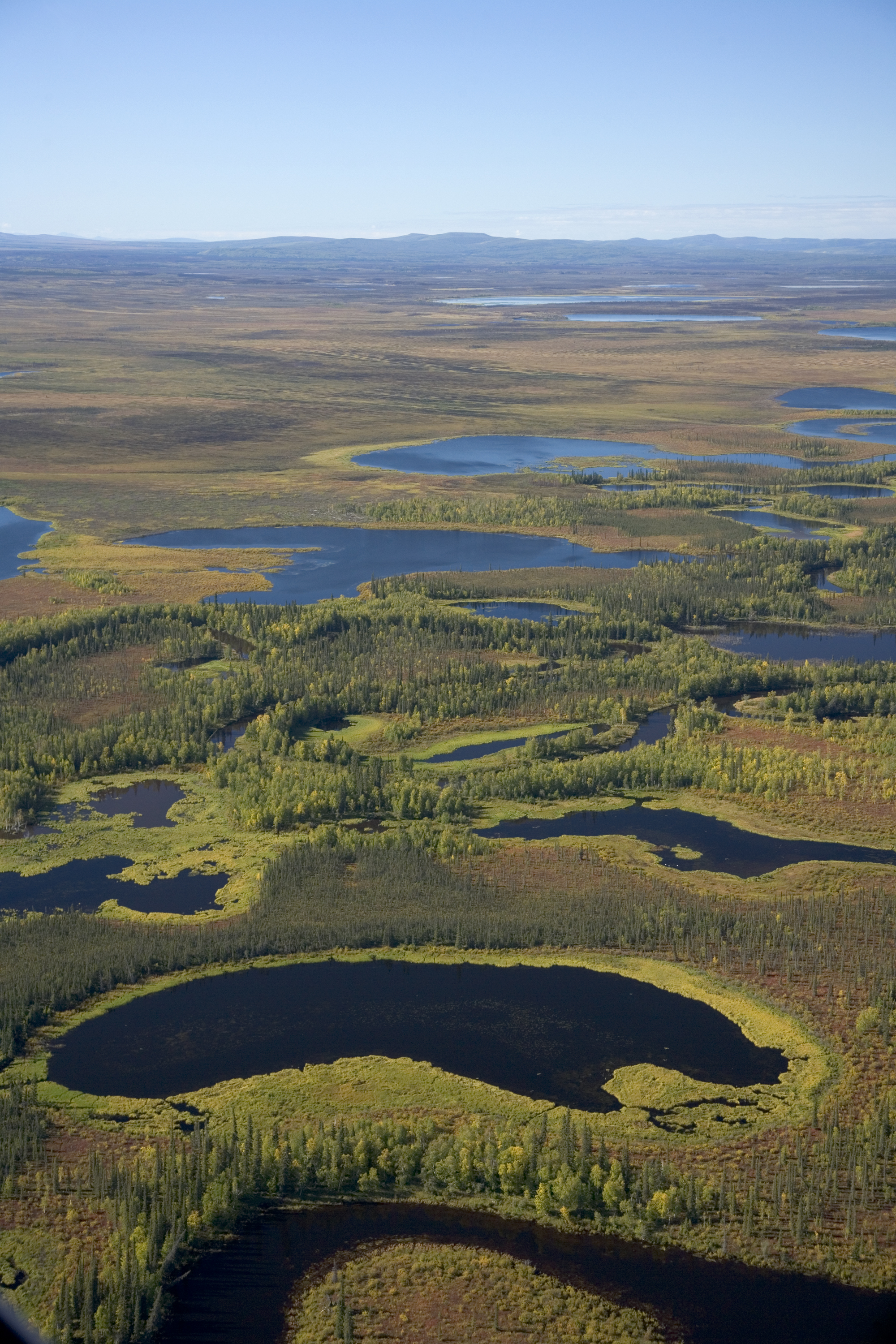 Kanuti wetlands, upper Kanuti river | FWS.gov