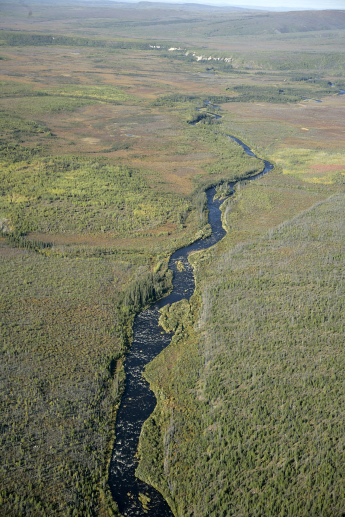 Kanuti River boulder garden | FWS.gov