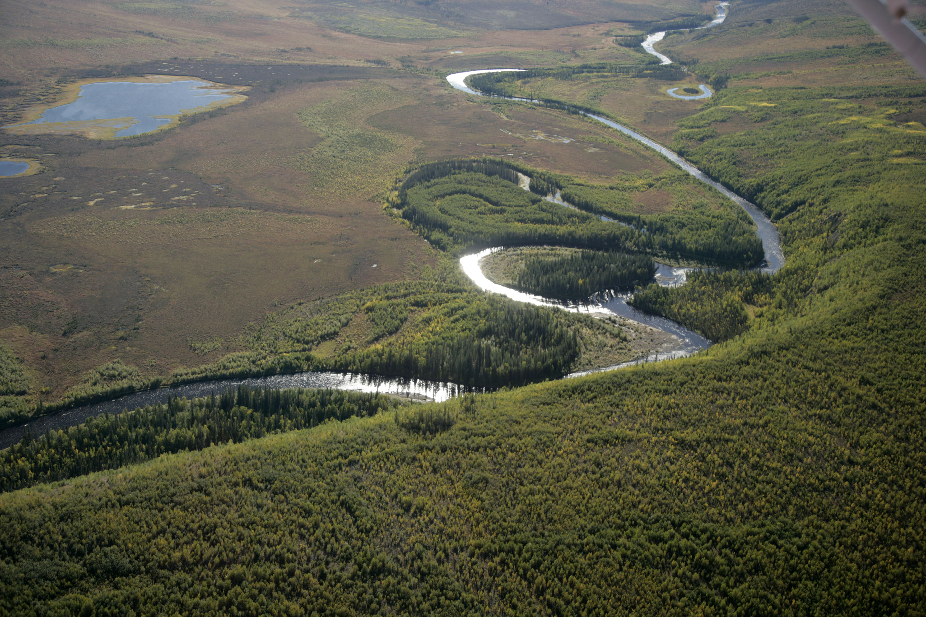 Kanuti River oxbows | FWS.gov