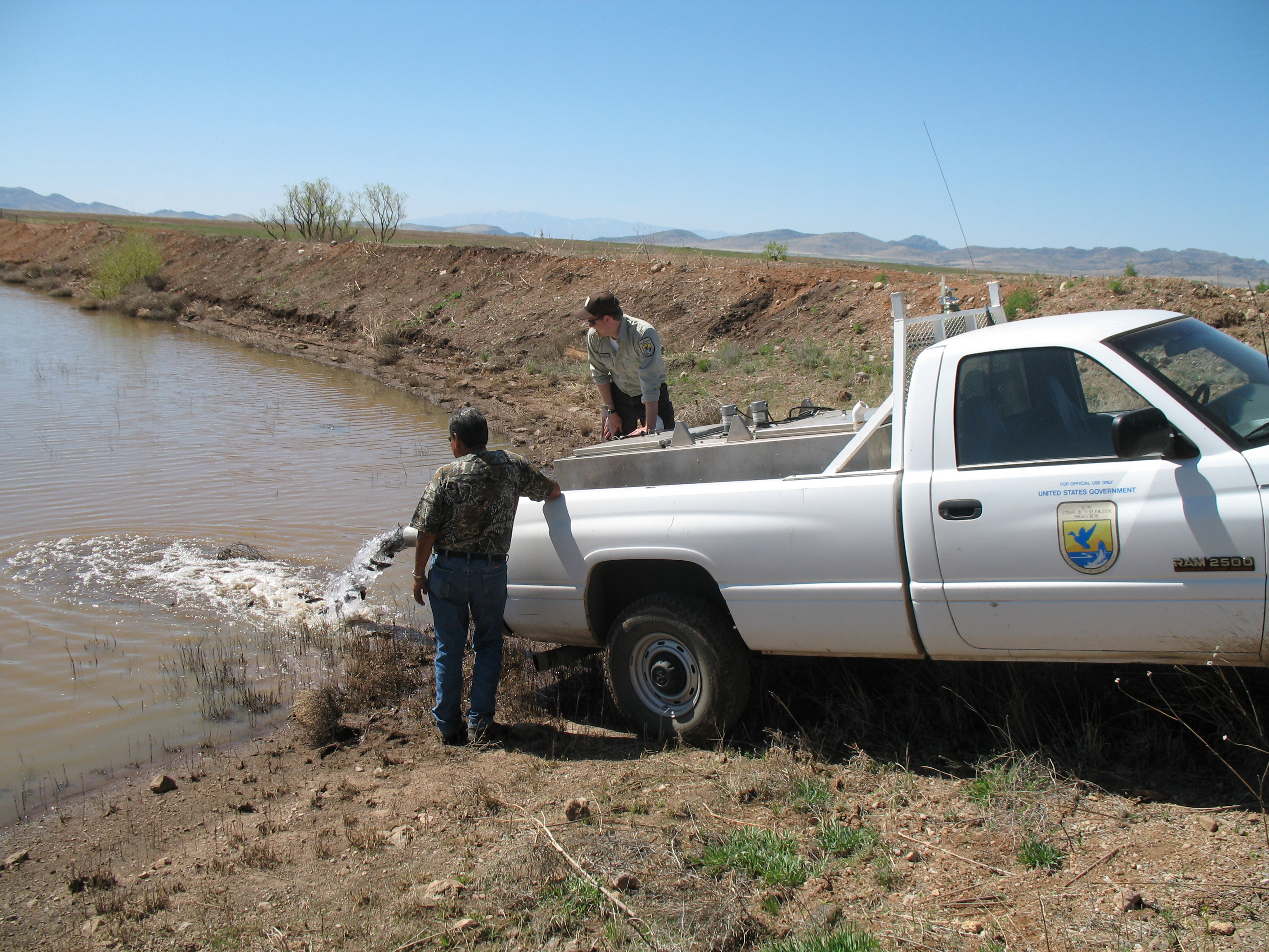 Biologist stocking fish with Tribal member at San Carlos Apache Indian ...
