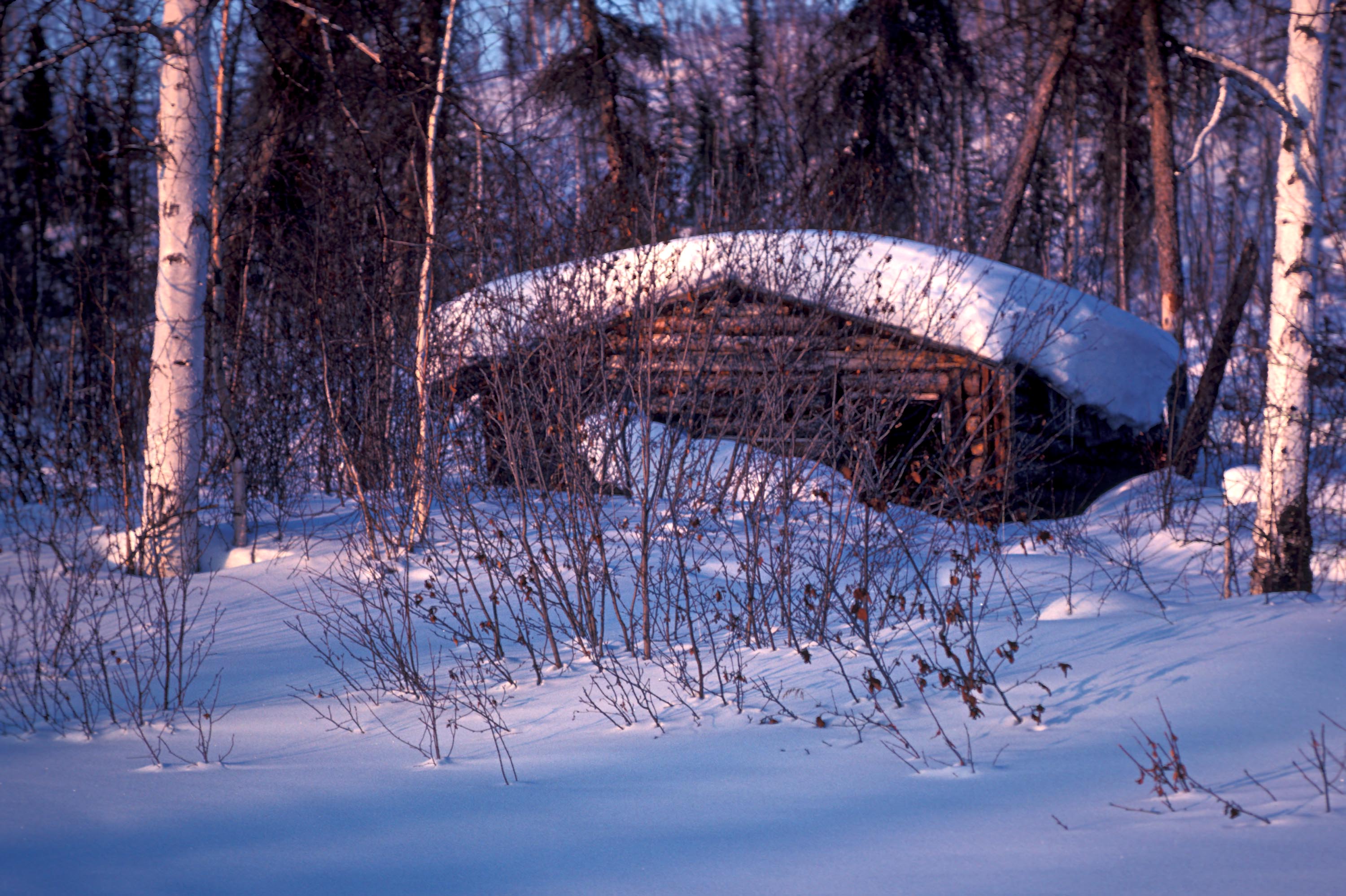 Old trapper's cabin | FWS.gov