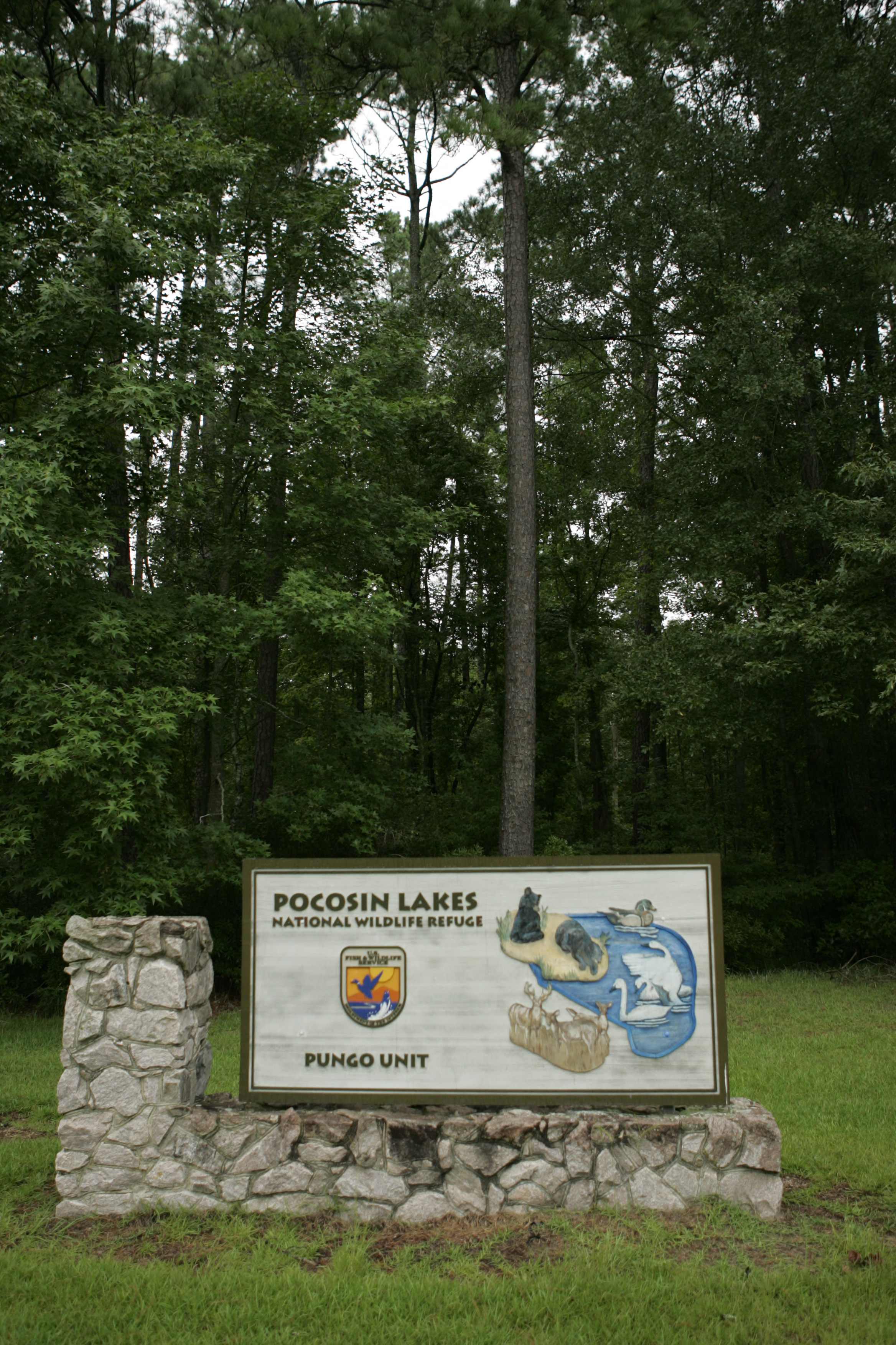 Sign for Pocosin Lakes National Wildlife Refuge, Pungo Unit | FWS.gov