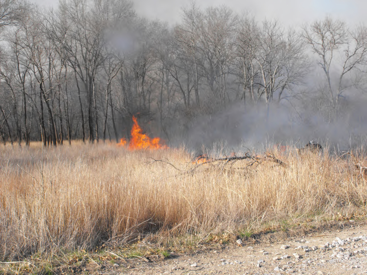 Controlled Burn | FWS.gov