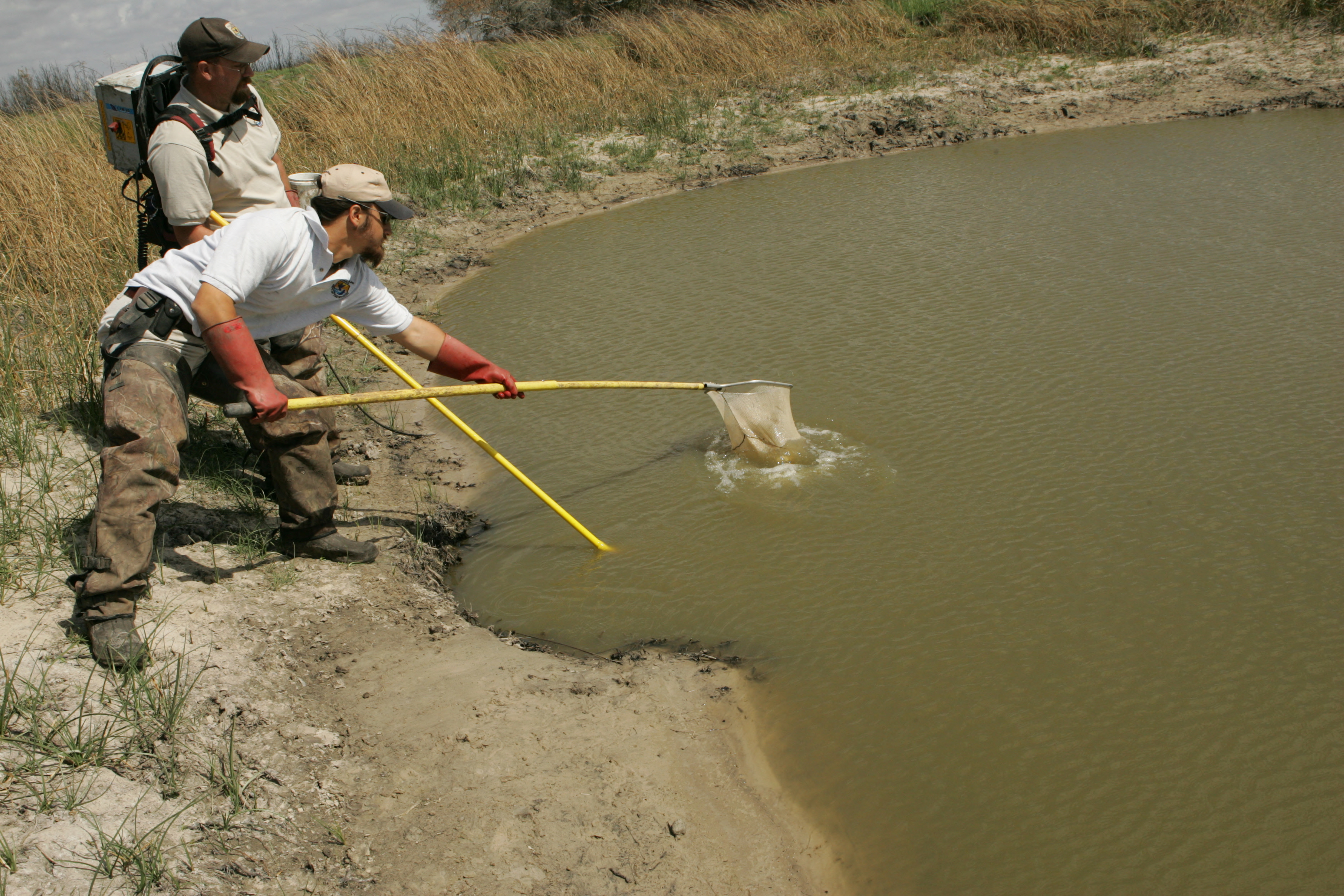 Electrofishing day | FWS.gov