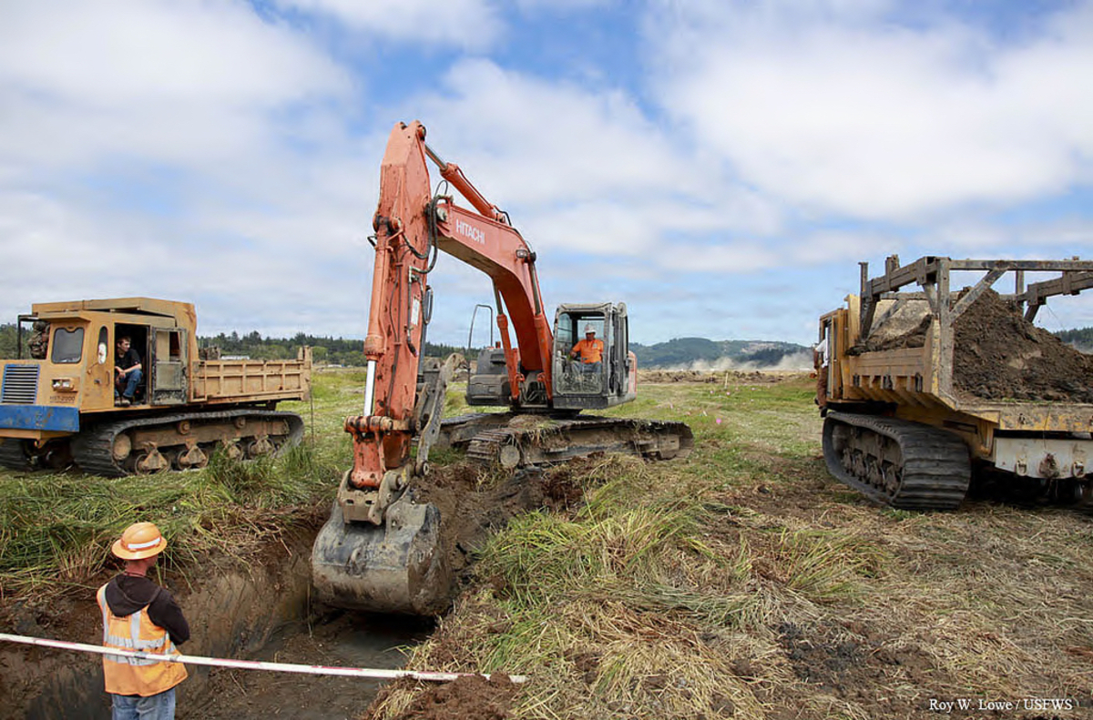 Tidal Channel Construction | FWS.gov