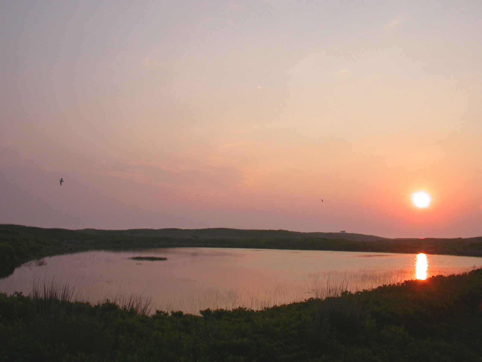 Sunset over Nomans Island | FWS.gov