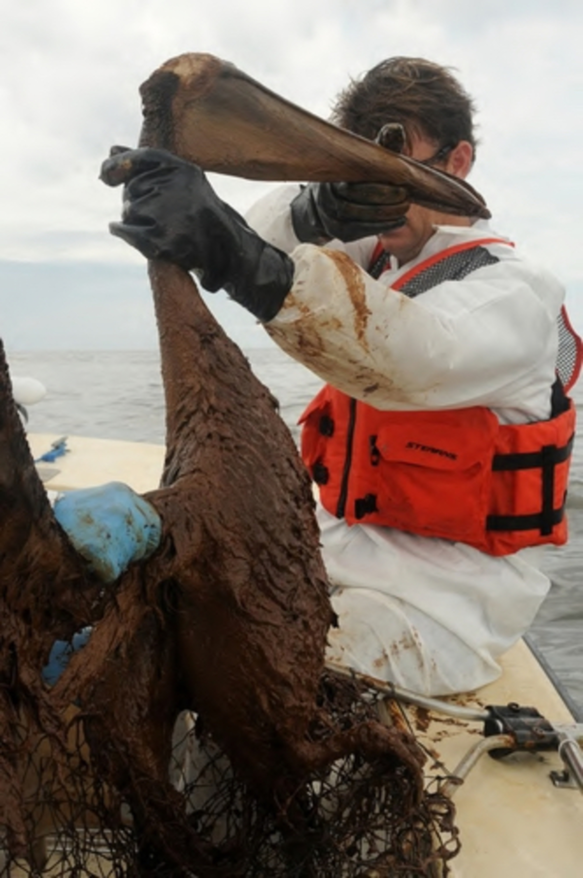 Rescued Pelican | FWS.gov