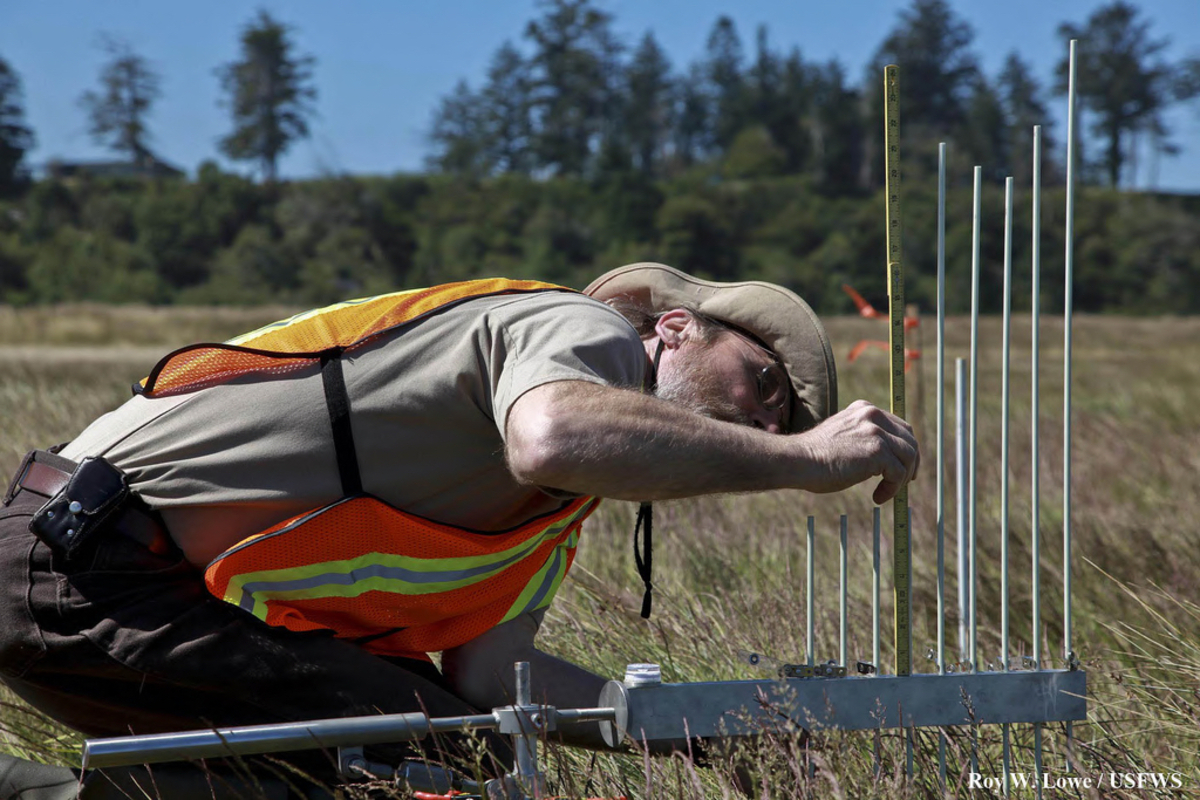 Surface Elevation Monitoring | FWS.gov