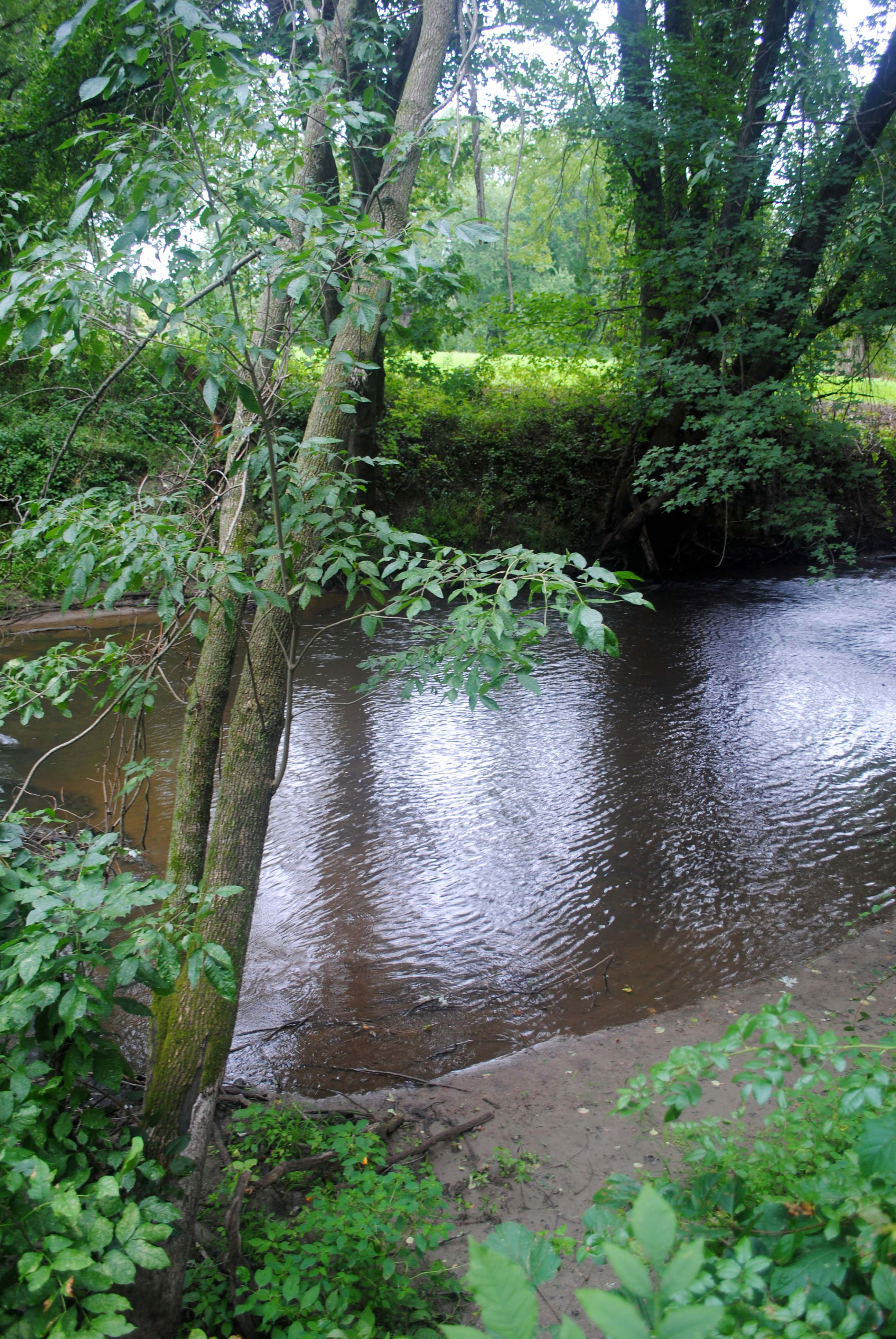 Fort River | FWS.gov
