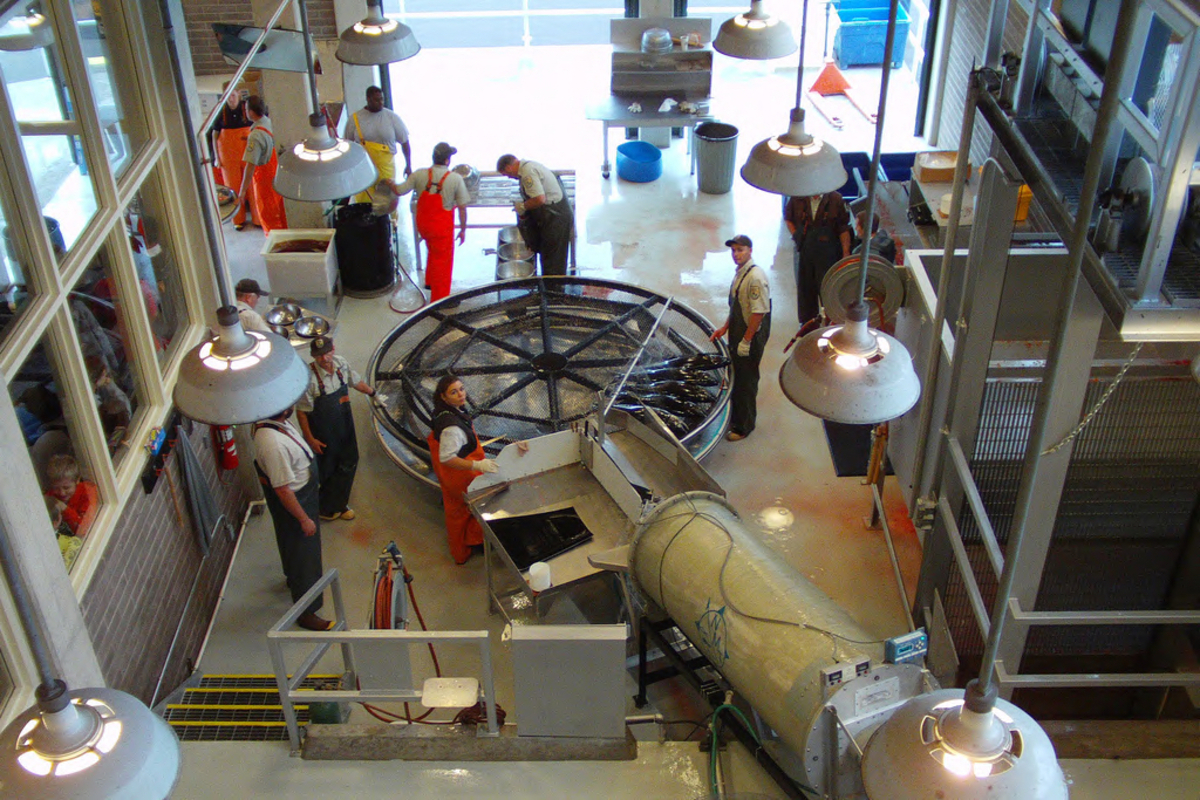 Spawning Room | FWS.gov