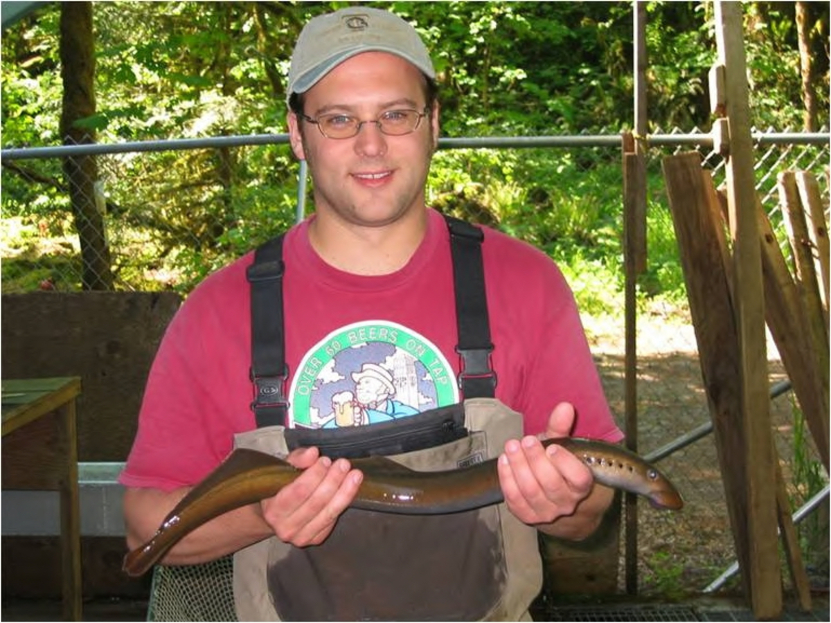 Adult Pacific Lamprey | FWS.gov