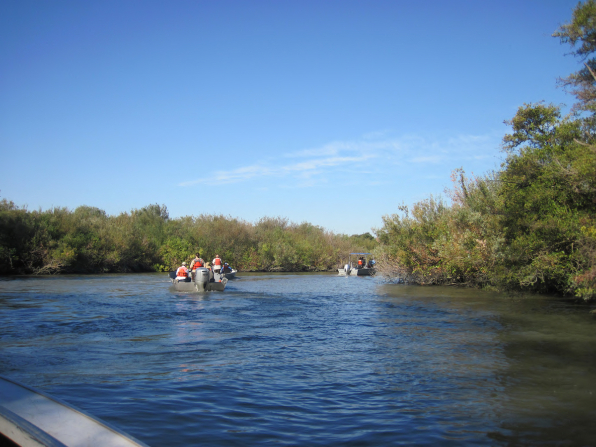 Liberty Cut | FWS.gov