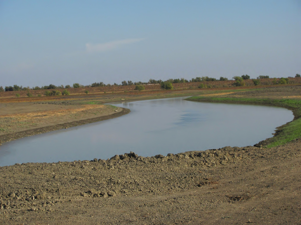 Yolo Bypass | FWS.gov