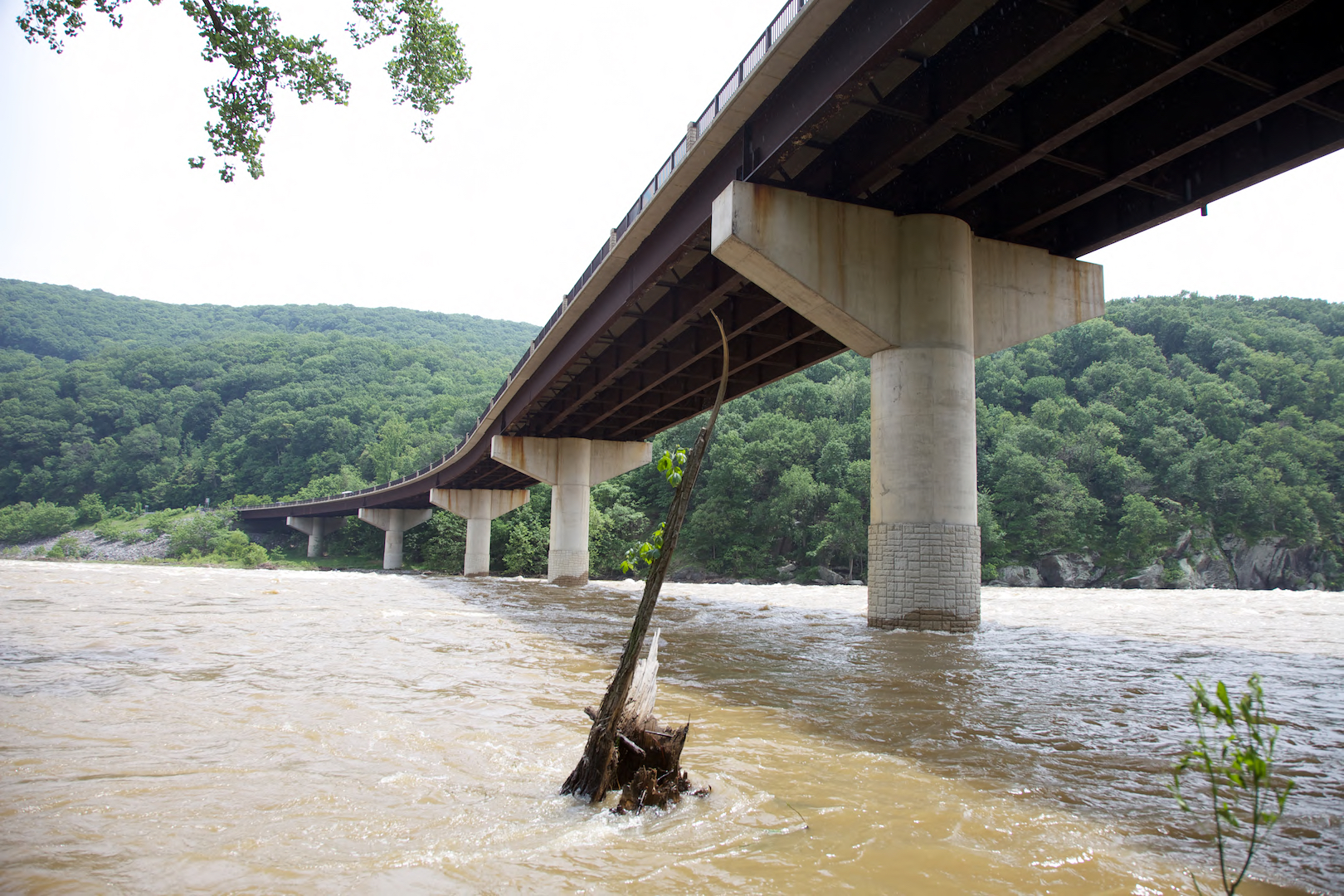 High river levels | FWS.gov