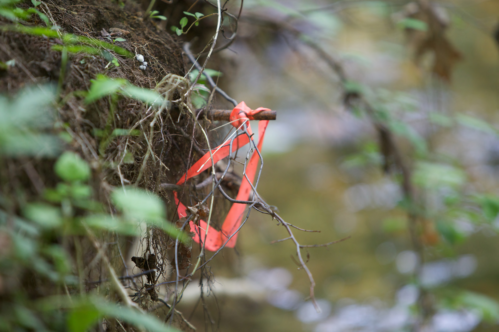 Flagging during river and stream assessment | FWS.gov