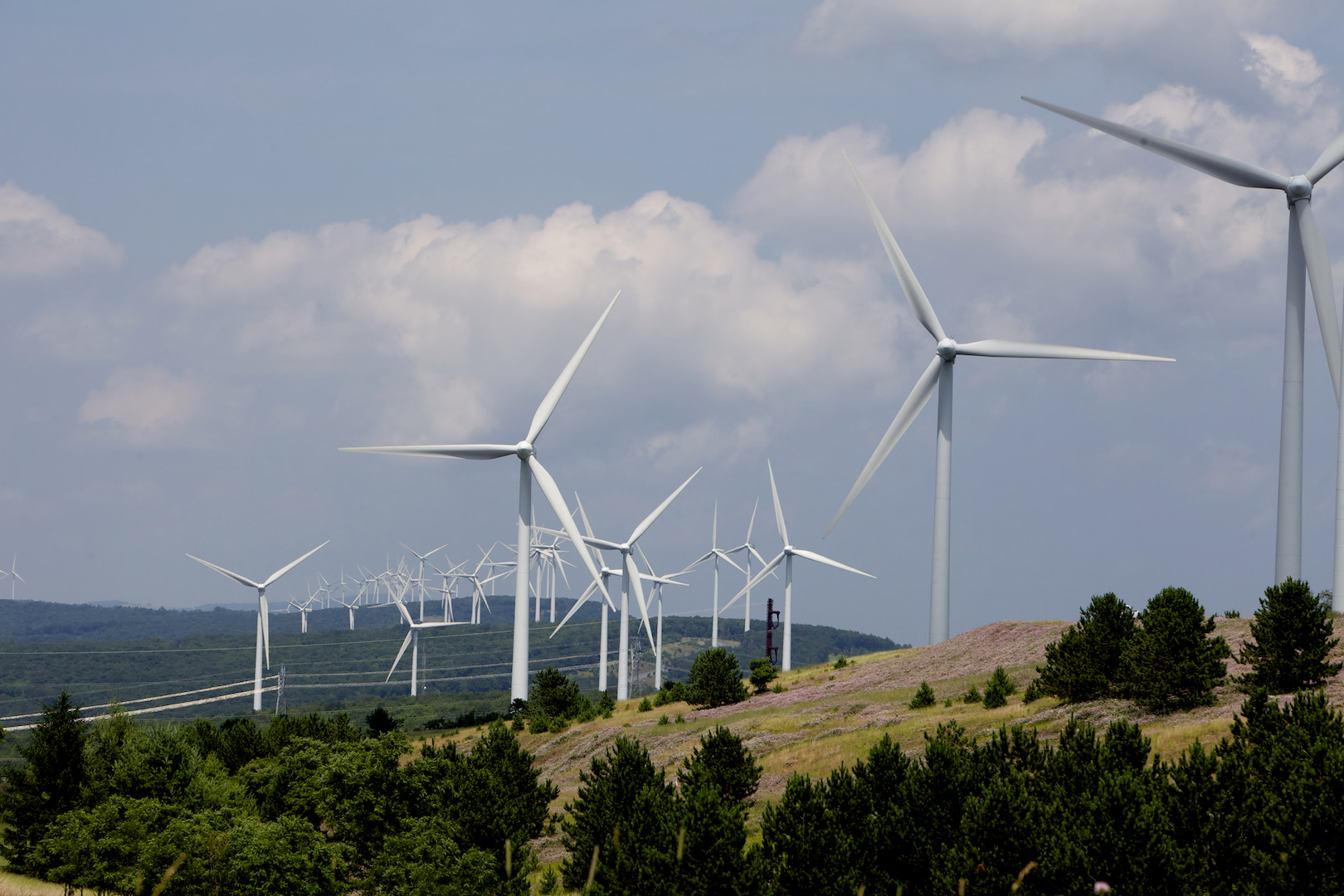 Mount Storm wind farm | FWS.gov
