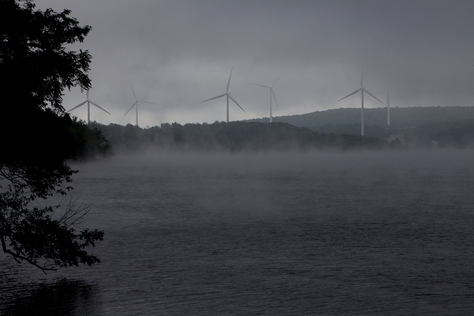 Mount Storm wind farm | FWS.gov