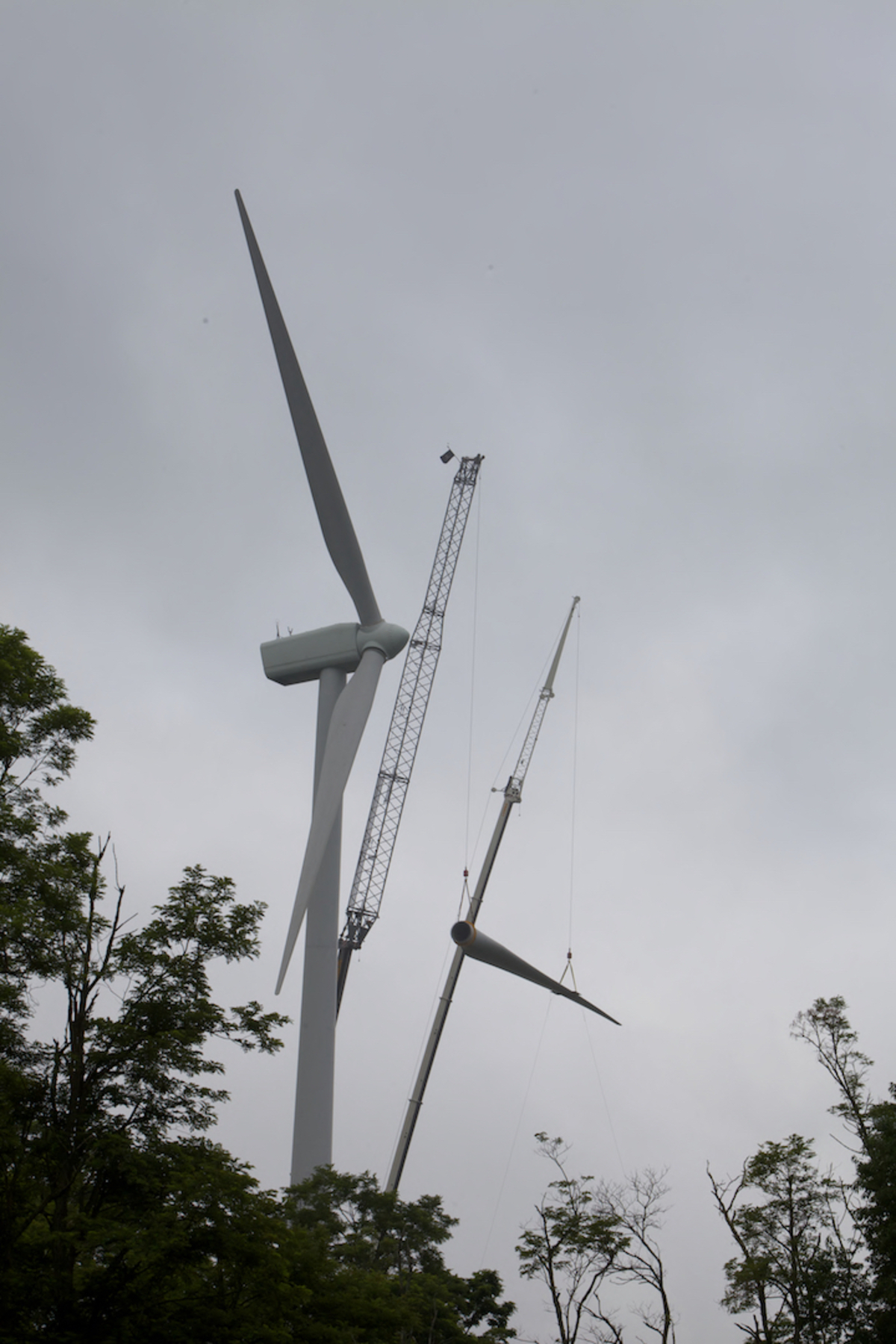 Mount Storm wind farm | FWS.gov