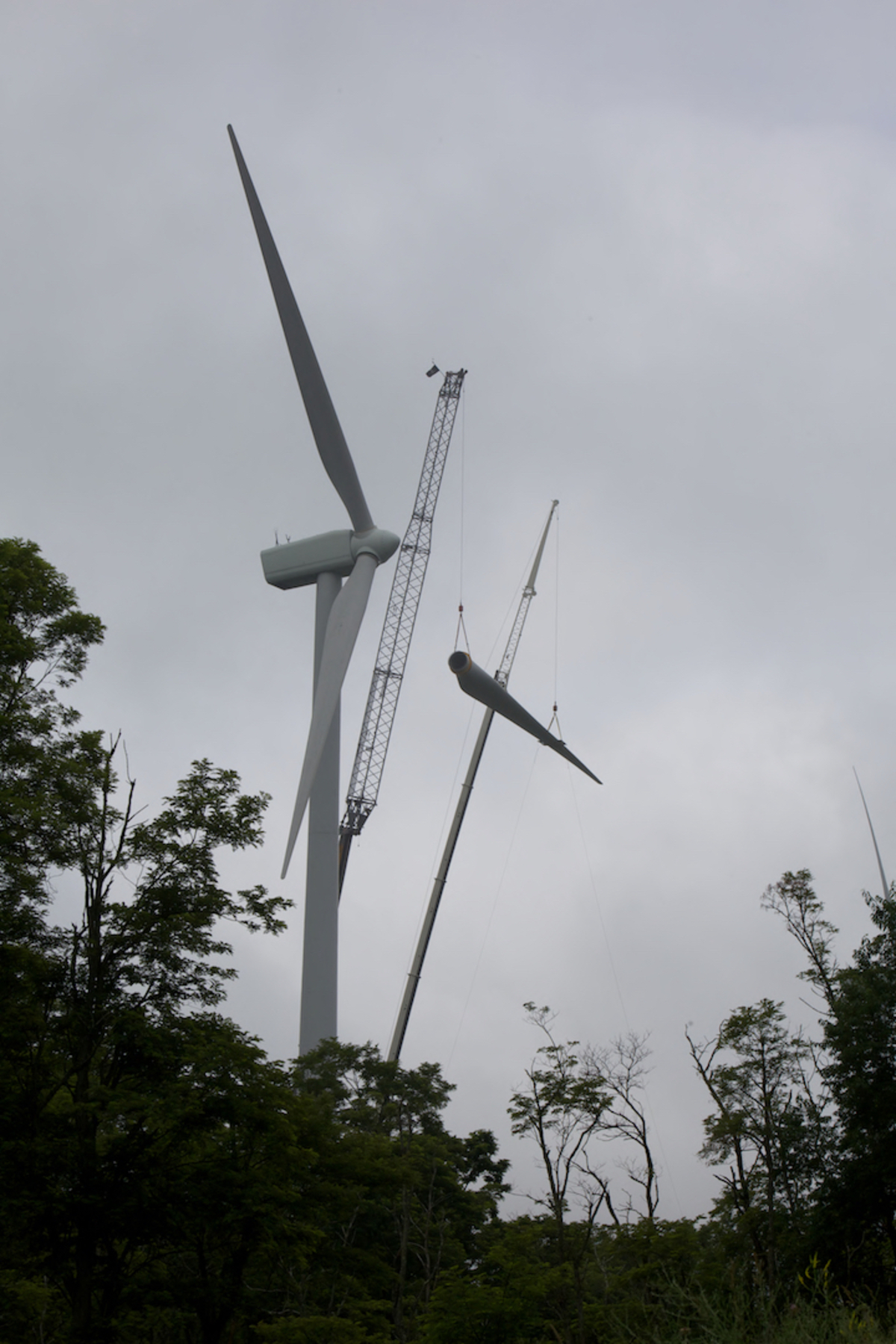 Mount Storm wind farm | FWS.gov