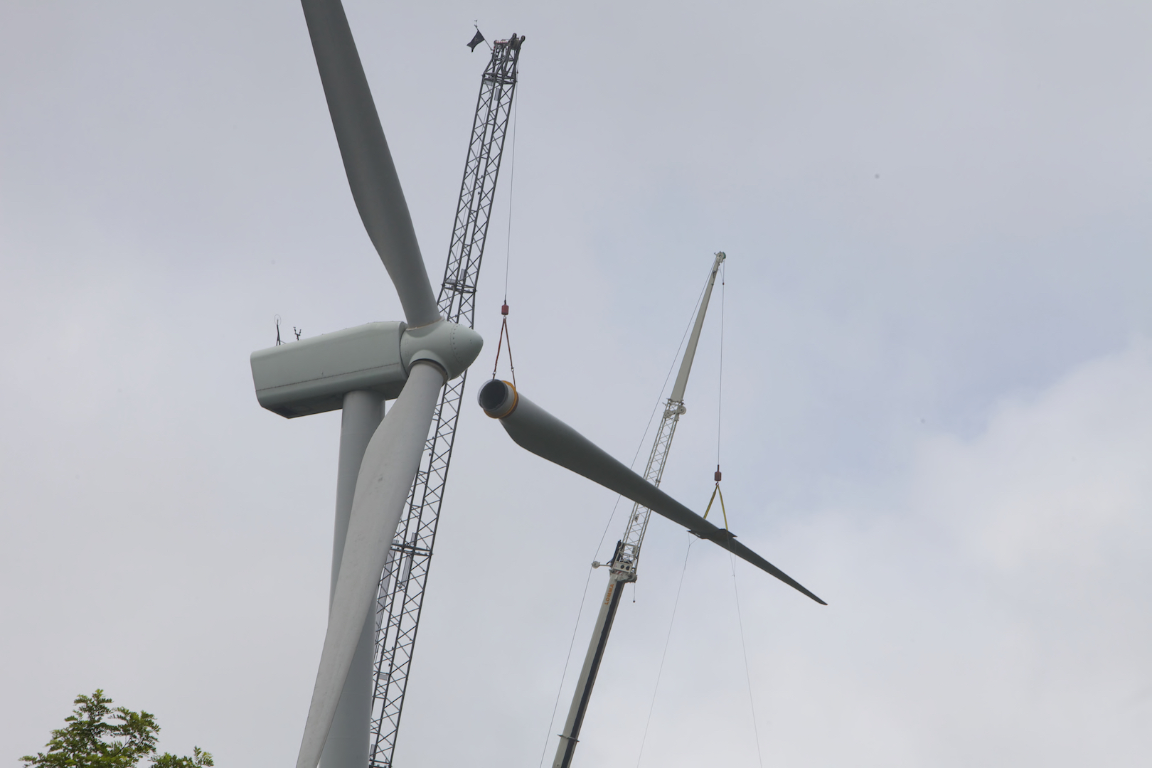 Mount Storm wind farm | FWS.gov