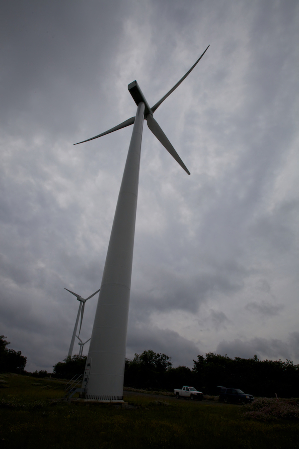 Mount Storm wind farm | FWS.gov