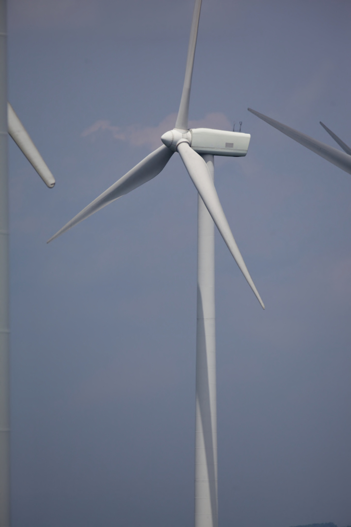 Mount Storm wind farm | FWS.gov