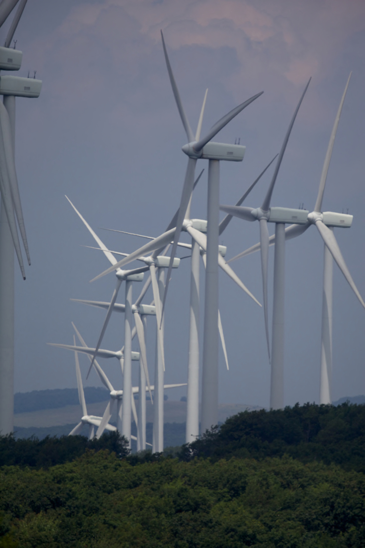 Mount Storm wind farm | FWS.gov
