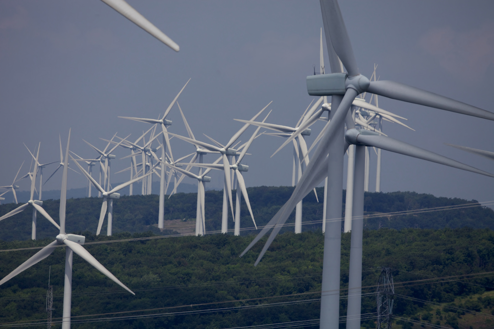 Mount Storm wind farm | FWS.gov