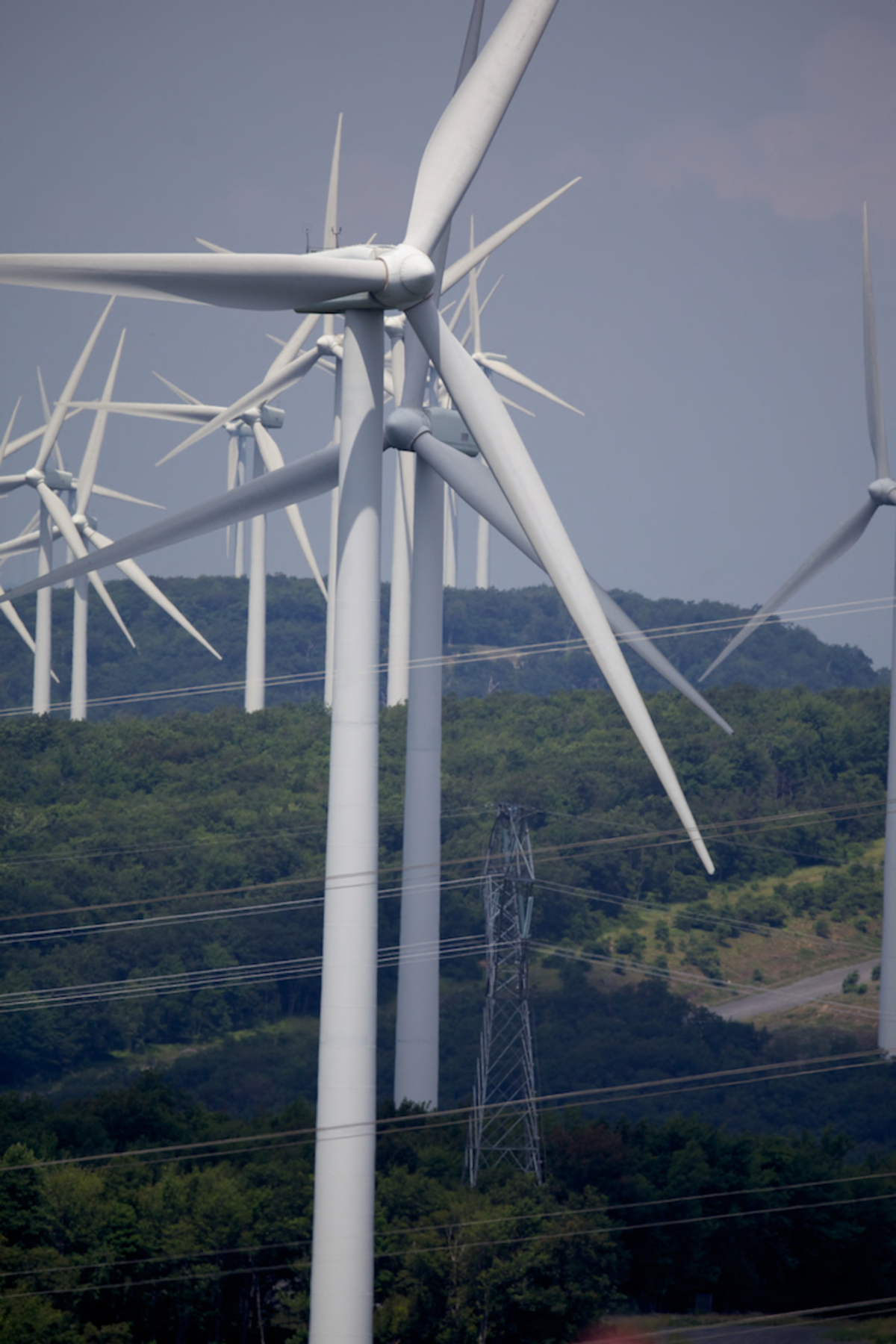 Mount Storm wind farm | FWS.gov
