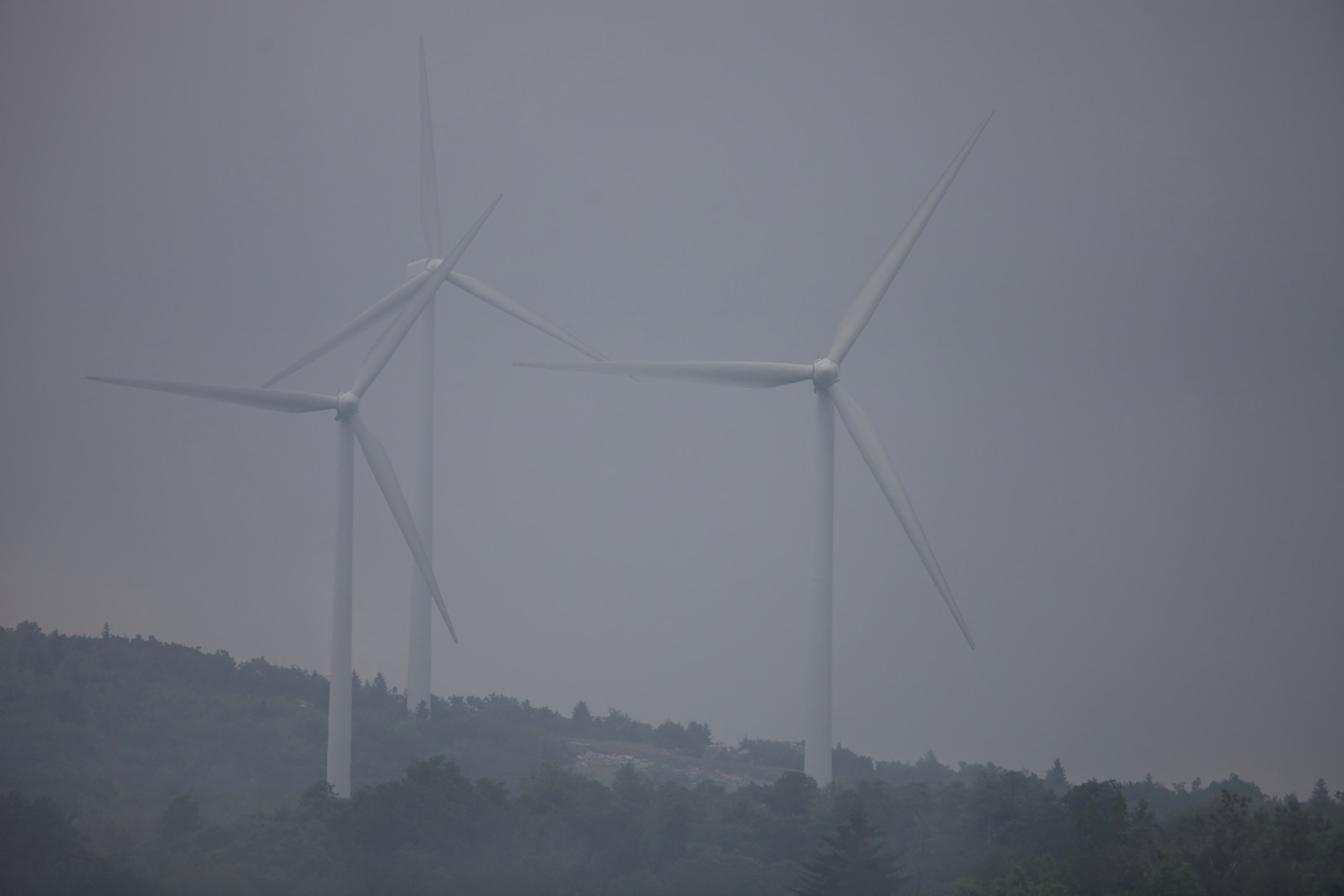 Mount Storm wind farm | FWS.gov