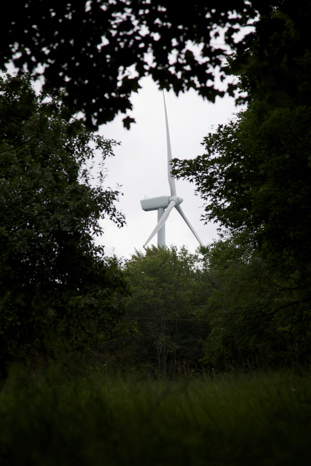 Mount Storm wind farm | FWS.gov