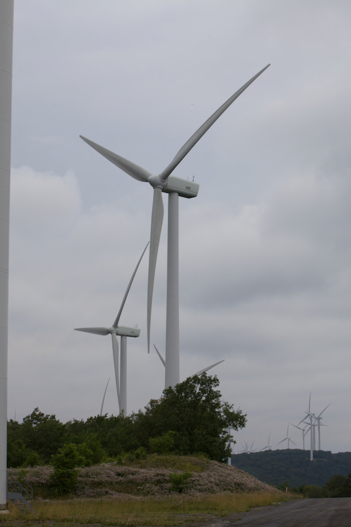 Mount Storm wind farm | FWS.gov