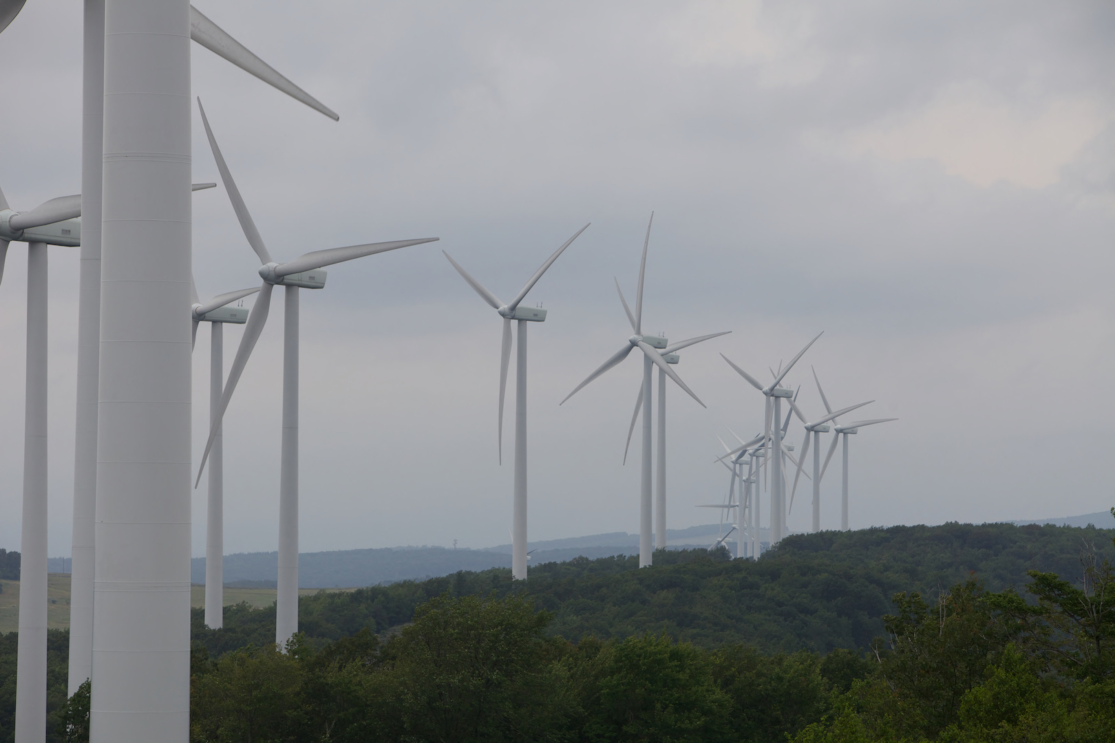 Mount Storm wind farm | FWS.gov