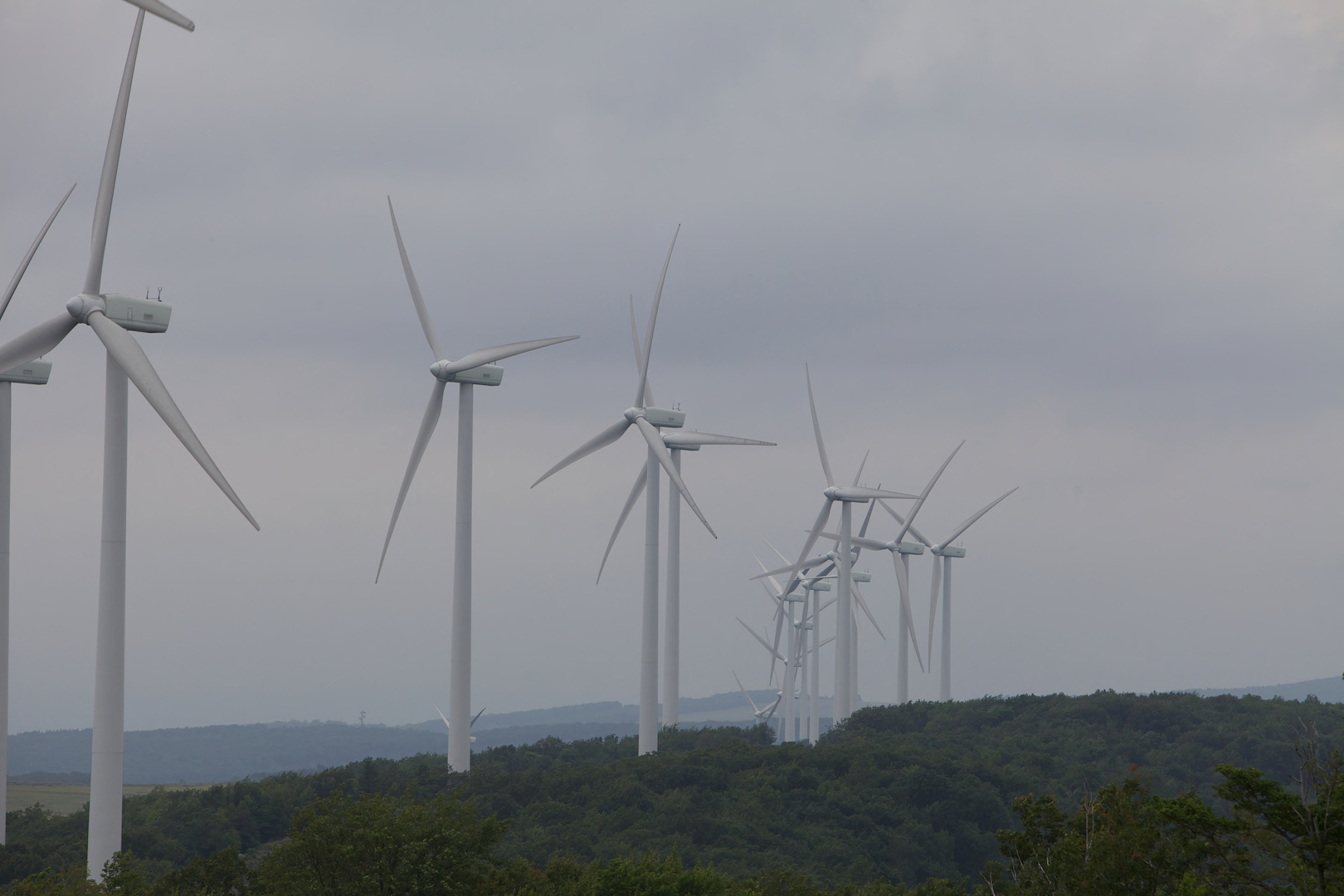 Mount Storm wind farm | FWS.gov