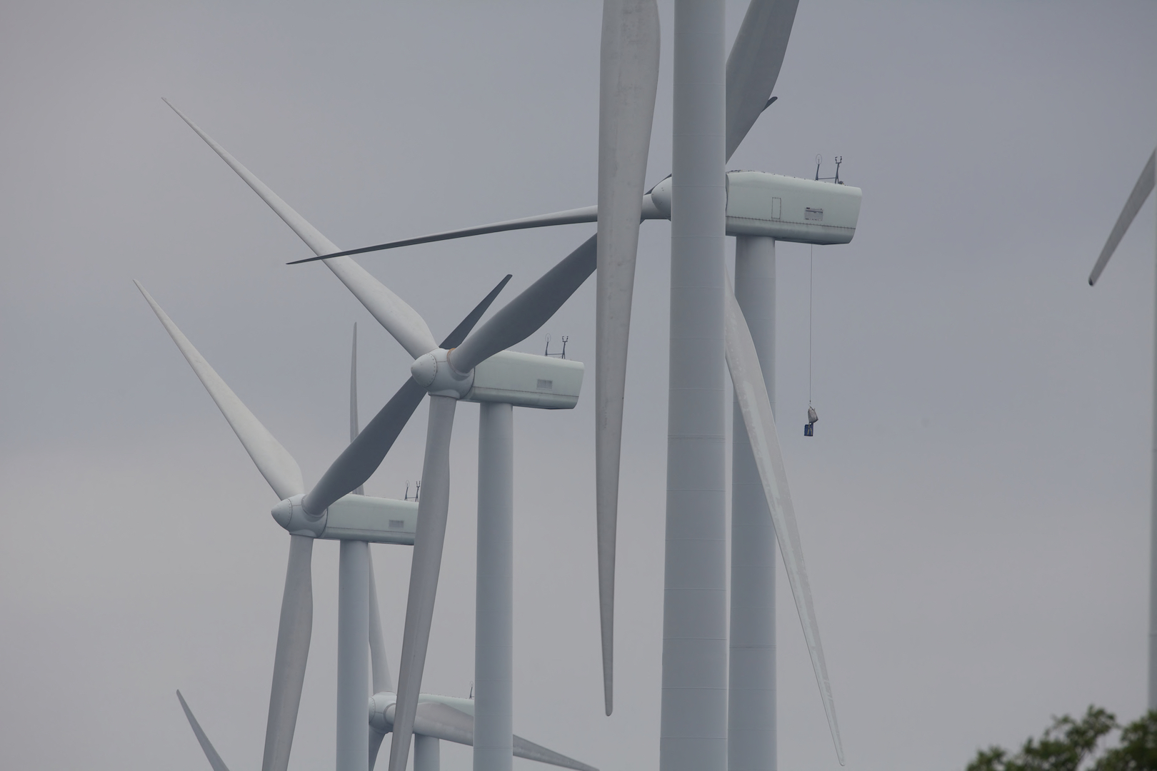 Mount Storm wind farm | FWS.gov