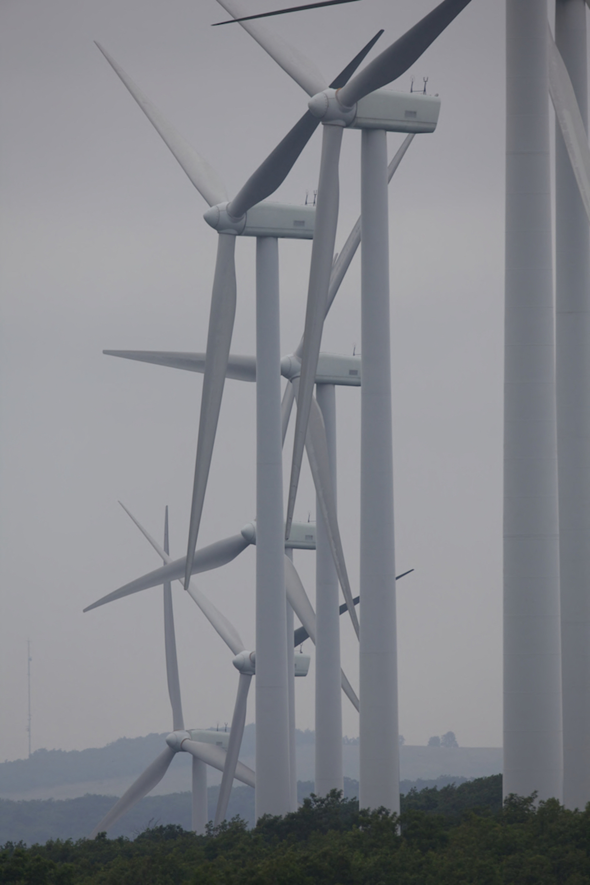 Mount Storm wind farm | FWS.gov