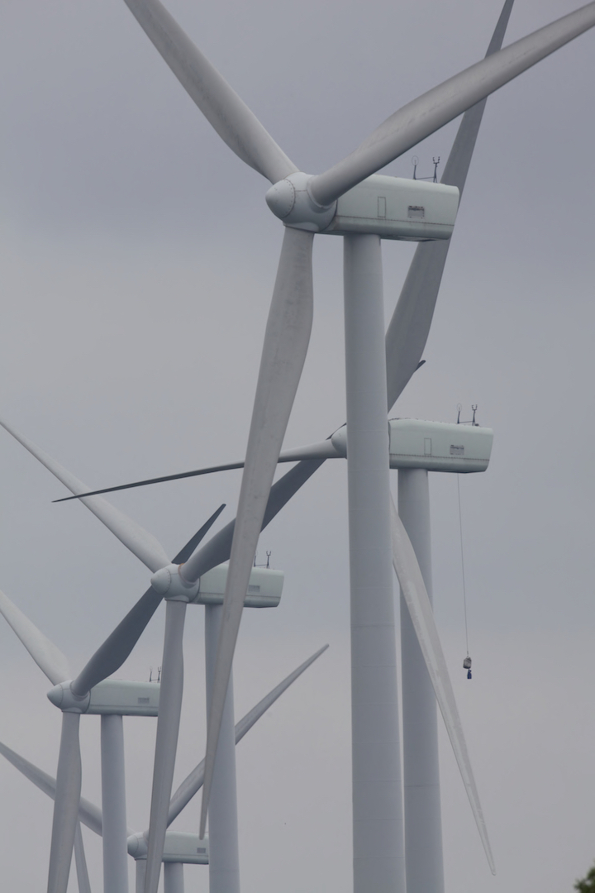 Mount Storm wind farm | FWS.gov