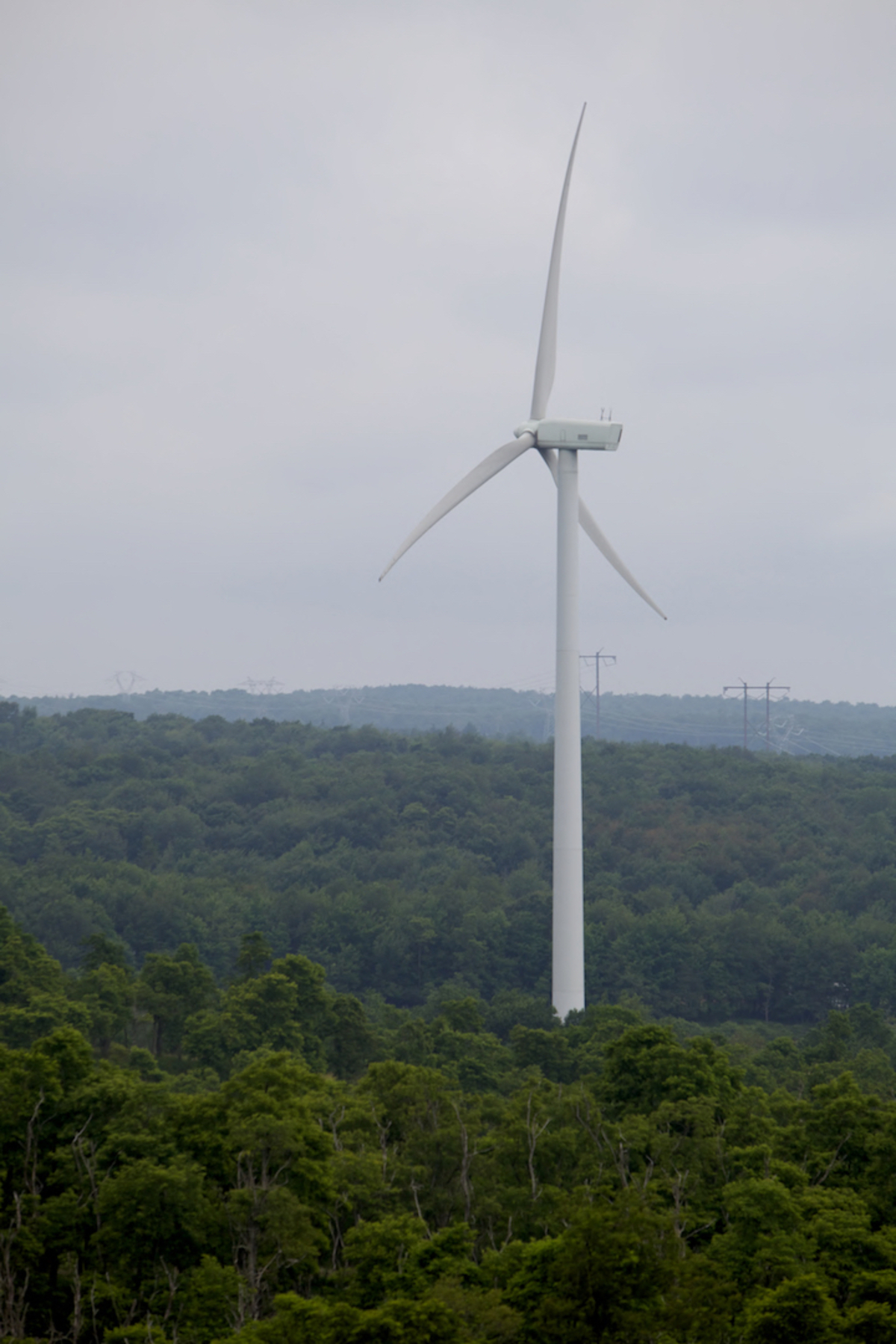 Mount Storm wind farm | FWS.gov