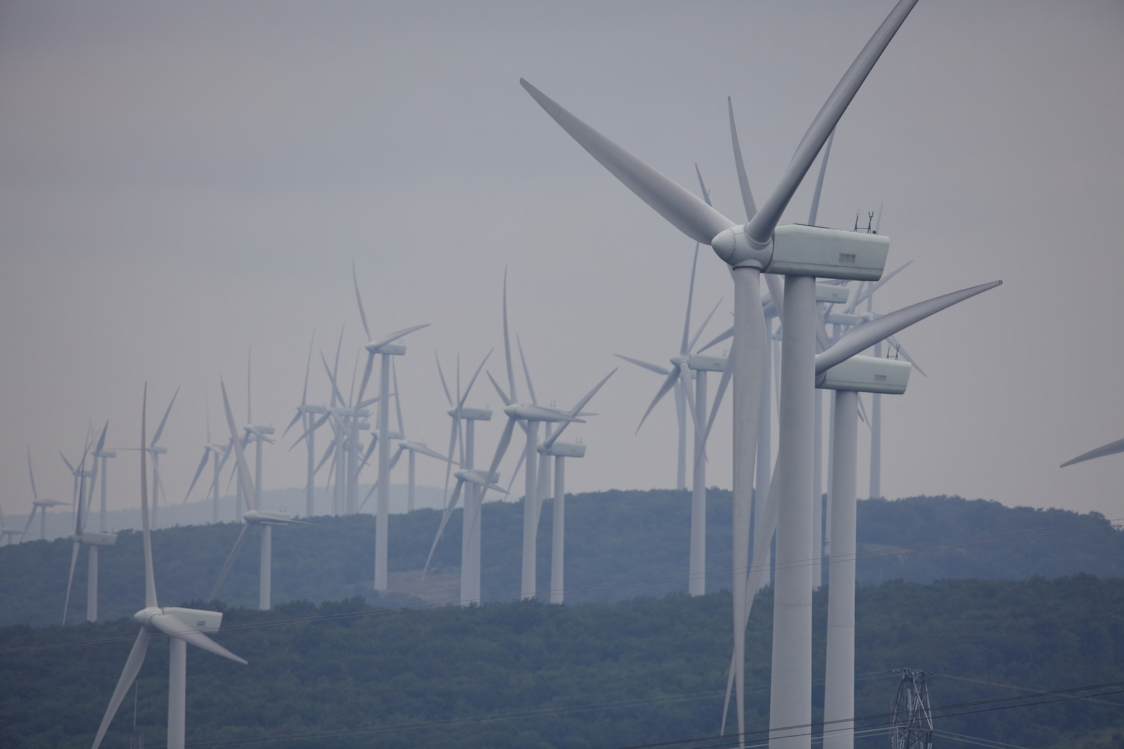 Mount Storm wind farm | FWS.gov