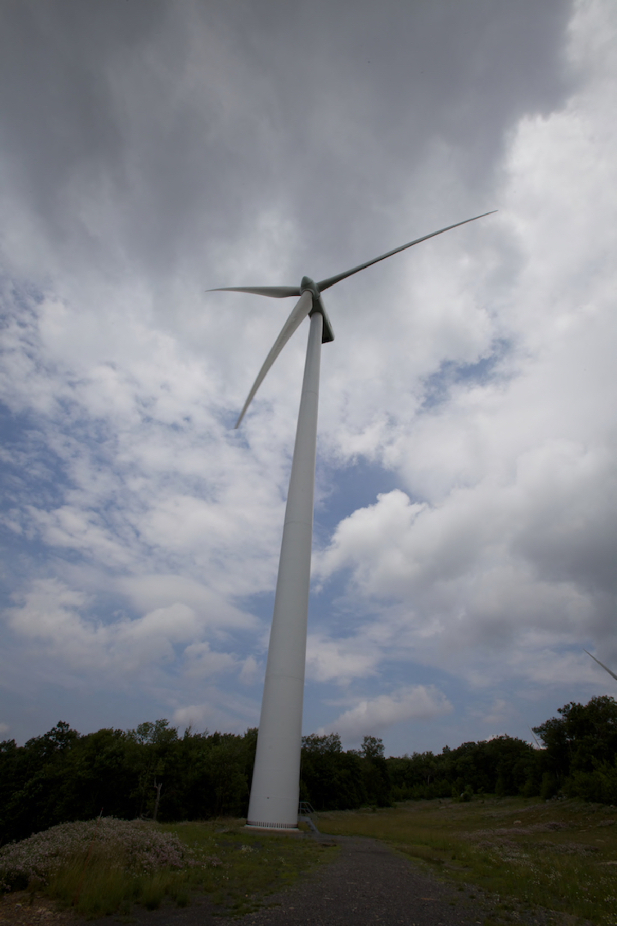 Mount Storm wind farm | FWS.gov