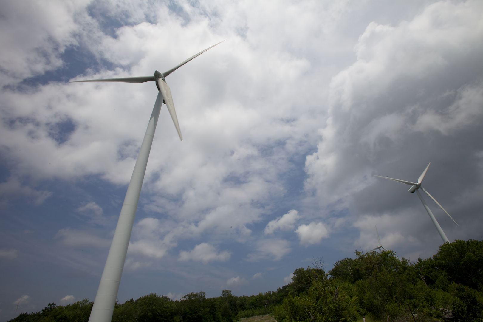 Mount Storm wind farm | FWS.gov