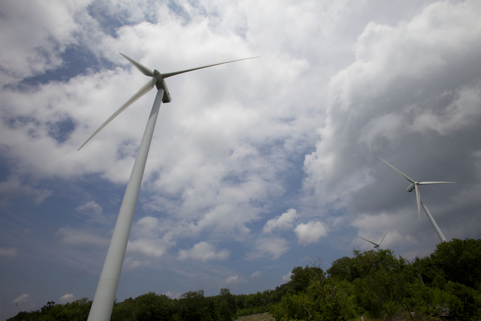Mount Storm wind farm | FWS.gov