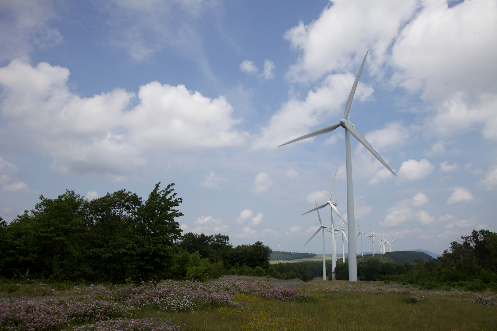 Mount Storm wind farm | FWS.gov