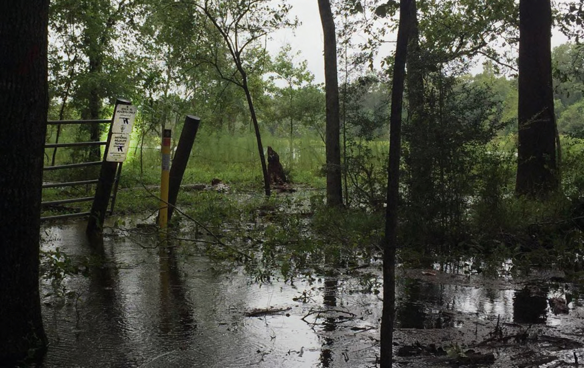 Trail at Trinity River NWR | FWS.gov