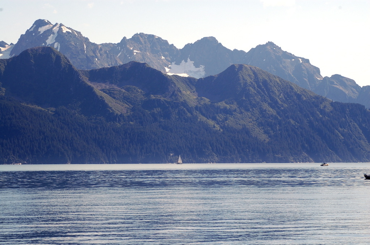 Resurrection Bay Scene | FWS.gov
