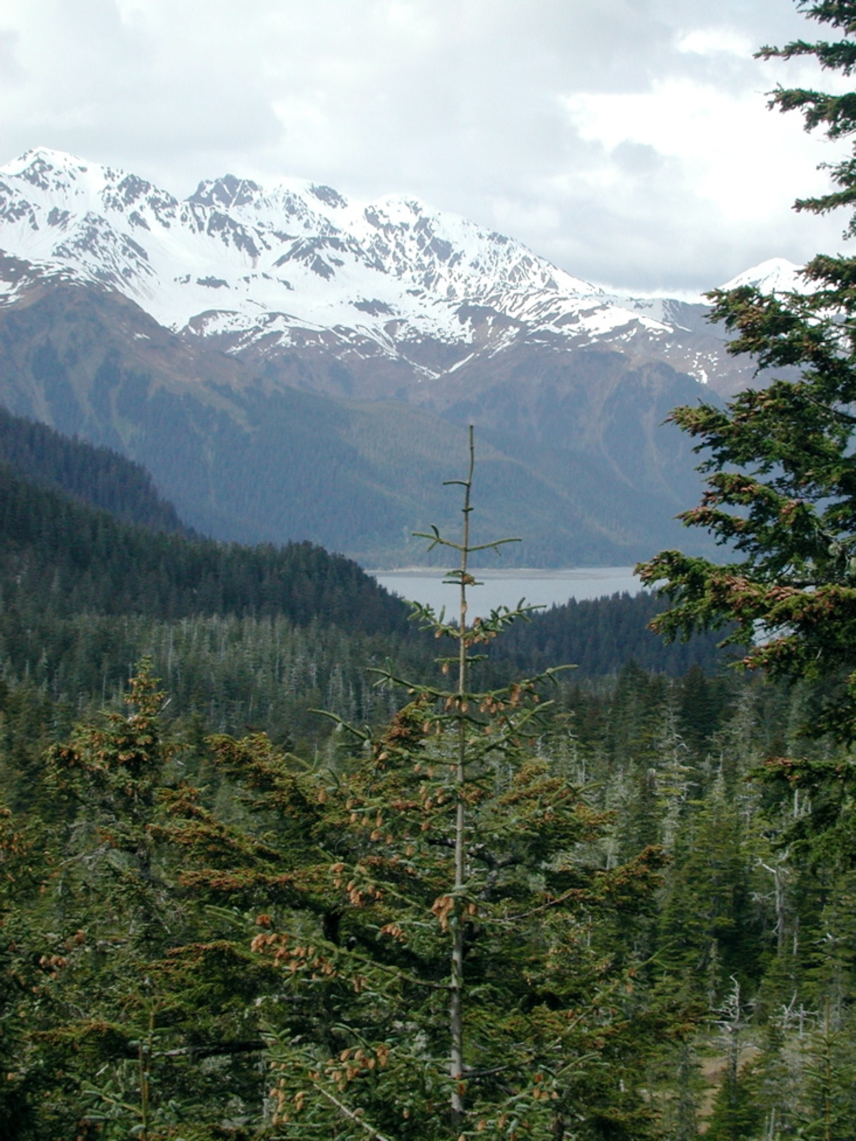 View from Caines Head | FWS.gov